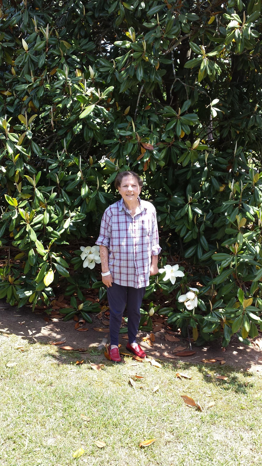 Peggy Cook Obituary - Douglasville, GA