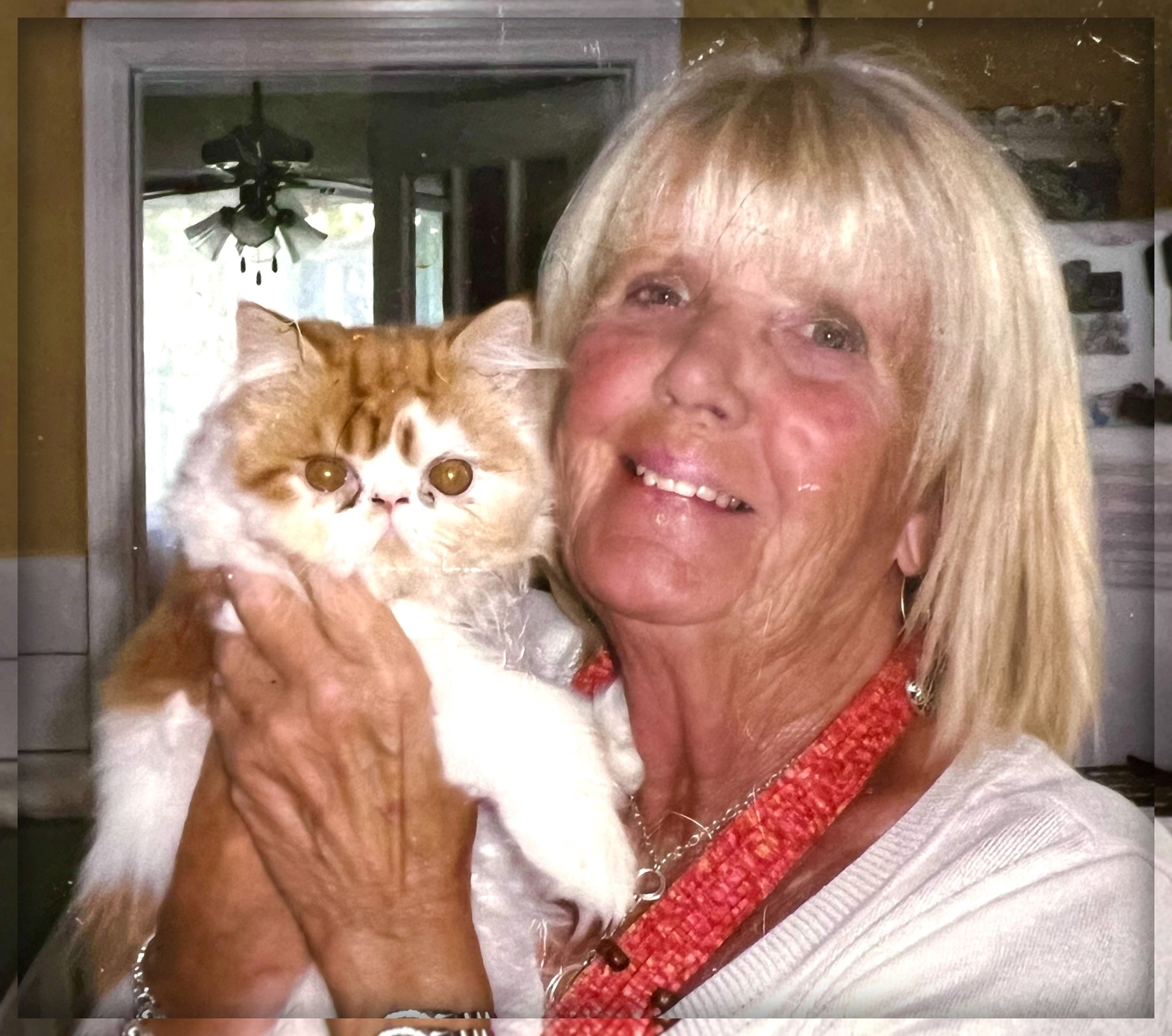 Barbara Rae Henderson Obituary - Sault Ste. Marie, ON