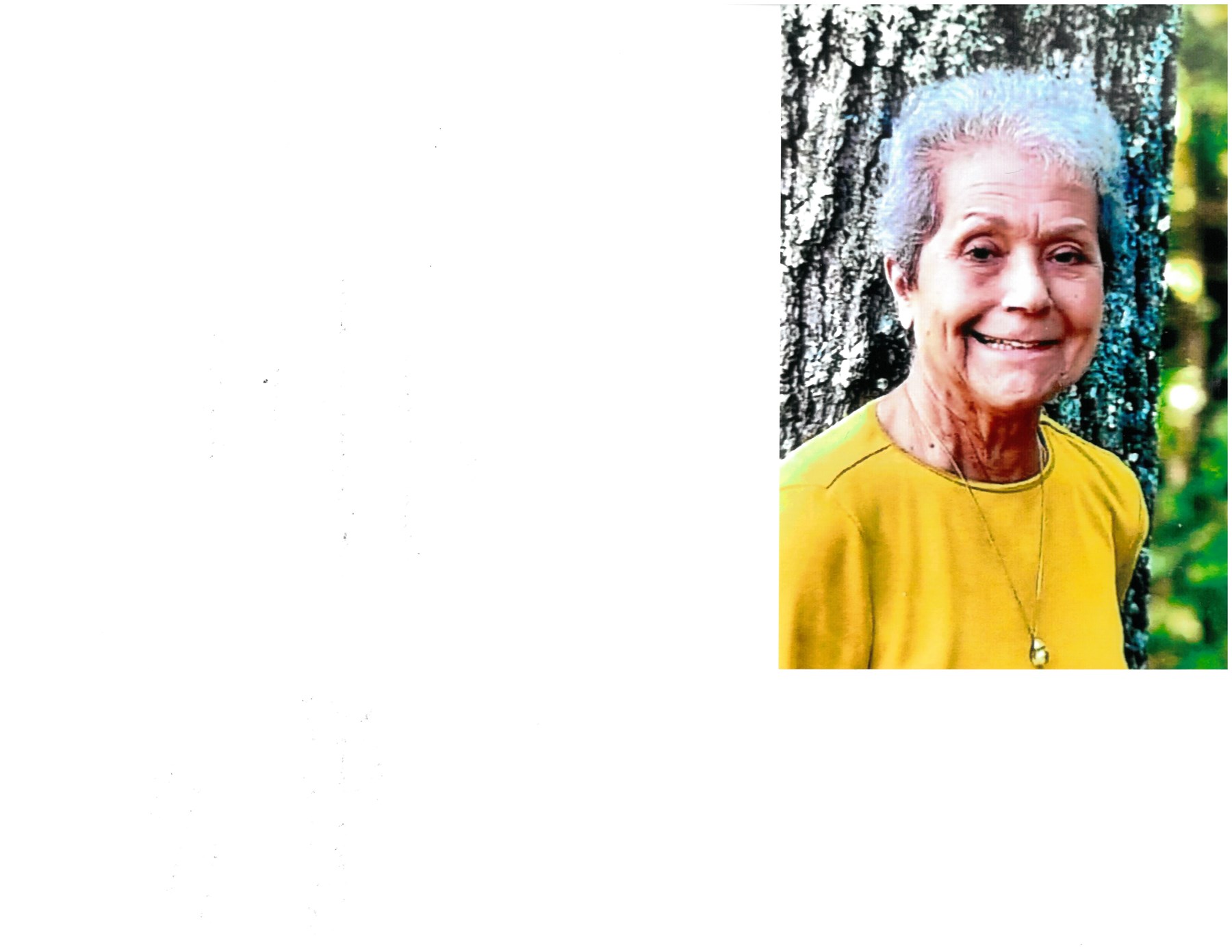 Ruth Rodriguez Obituary - Danbury, CT
