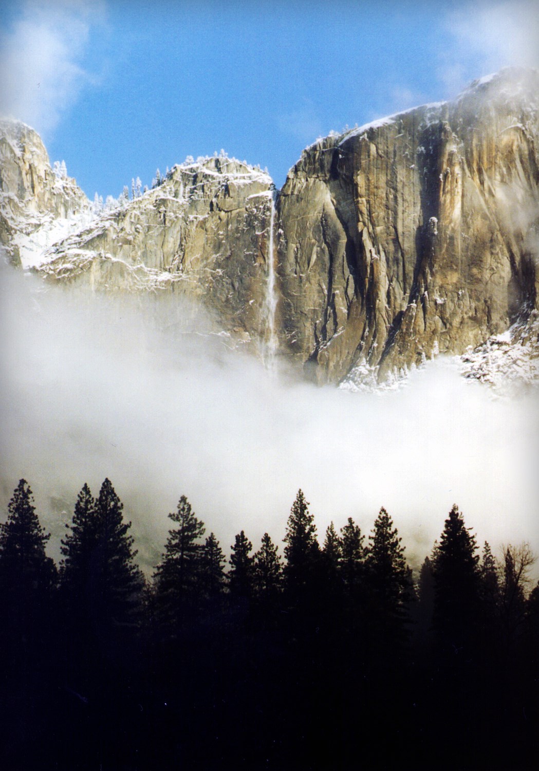 David McClung Obituary - Yakima, WA