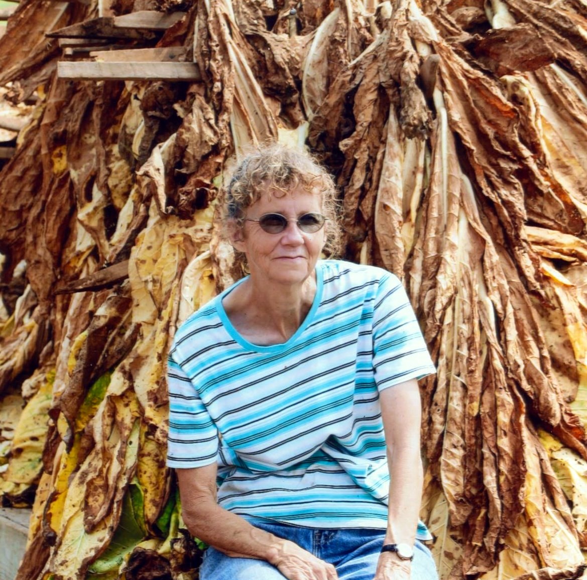 Bernice Taylor Obituary - New Tazewell, TN