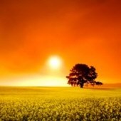 George Wigfall Obituary - Casa Grande, AZ