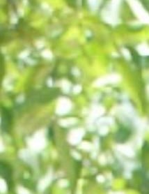 Helen Gutierrez Obituary - Hanford, CA Helen Gutierrez Obituary - Hanford, CA