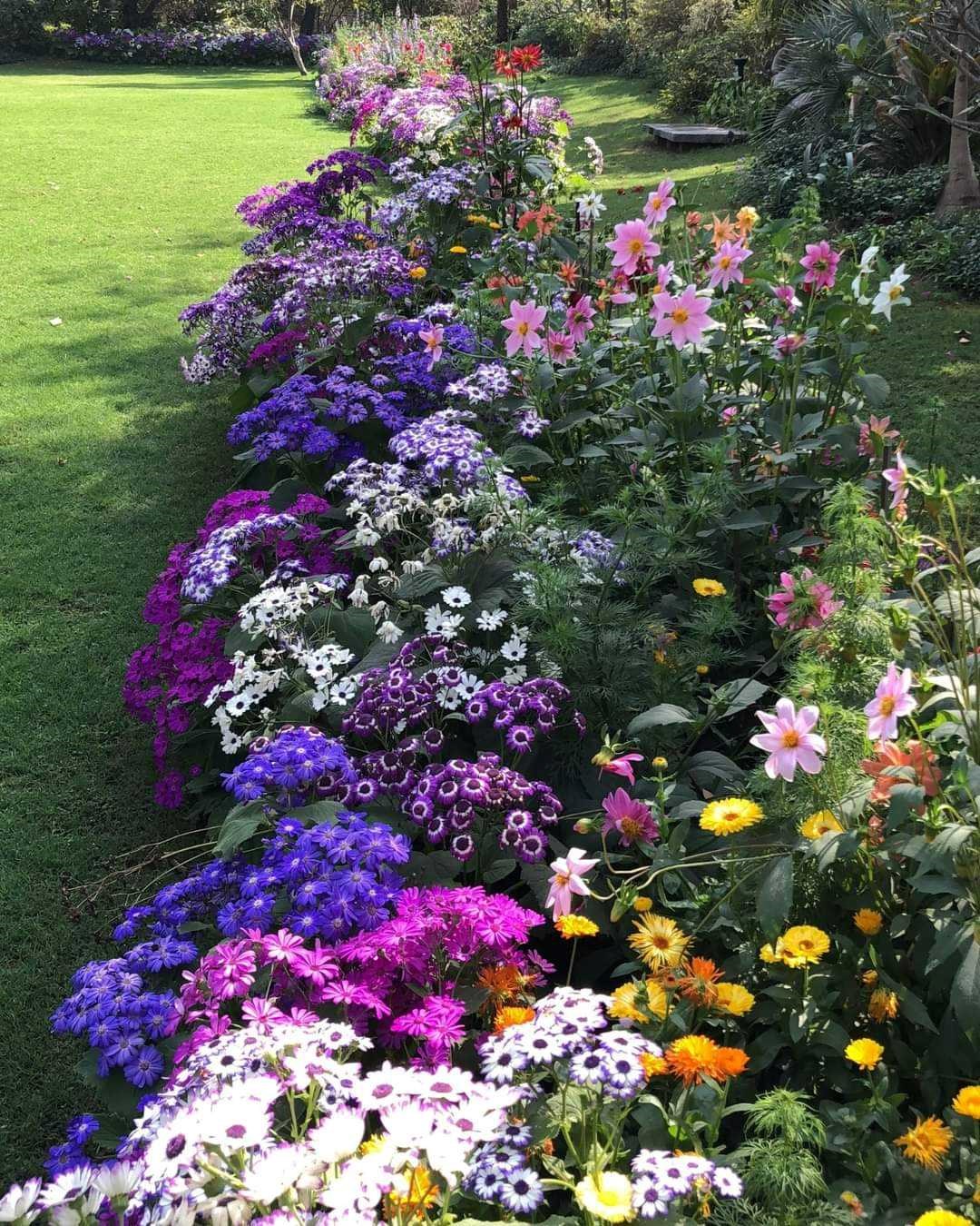 Nancy Harris Obituary - Ashland, VA