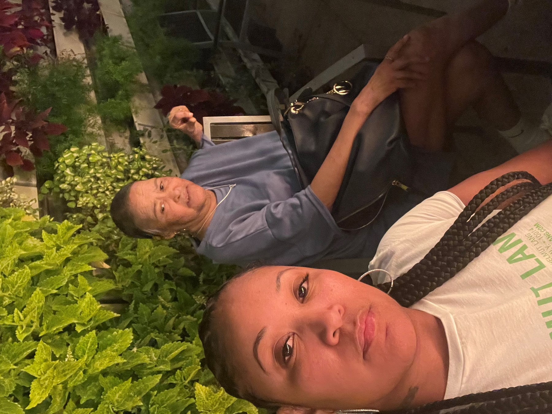 Shayne Anderson Andrews Obituary - Indianapolis, IN