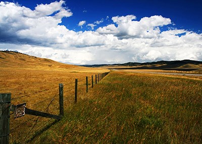 James J. Duley Obituary - Plano, TX