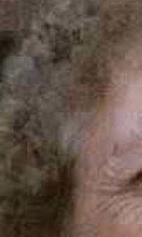 Shirley Ann Young Obituary - Knoxville, TN Shirley Ann Young Obituary - Knoxville, TN
