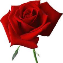 Alice Buck Obituary - Jacksonville, FL