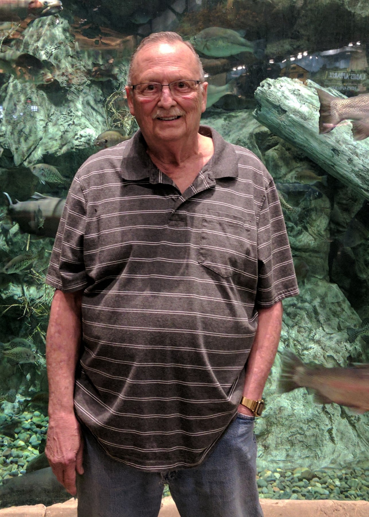 Roy C Tolman Obituary - Spring Hill, FL