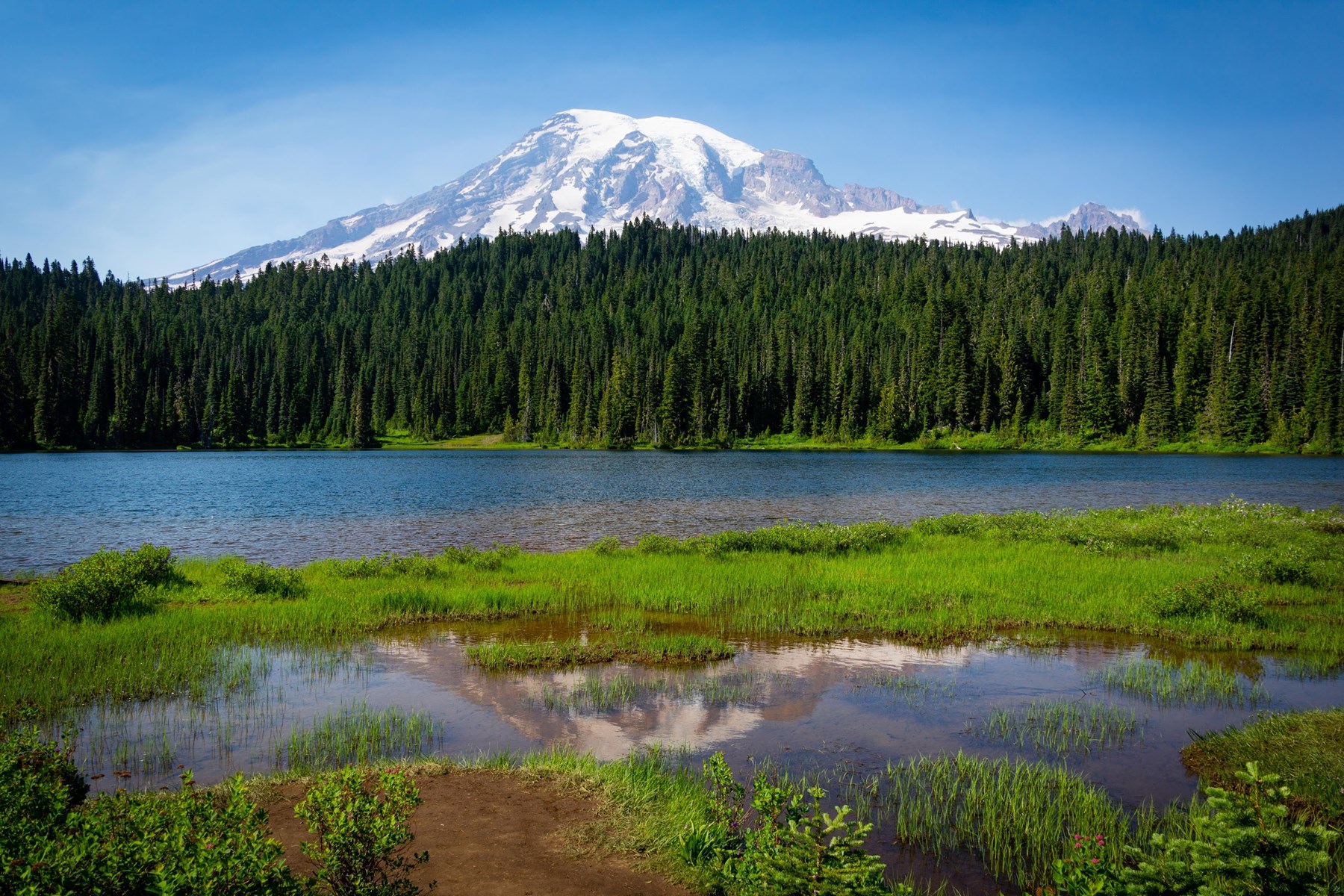 Ashley Emery Obituary - Seattle, WA