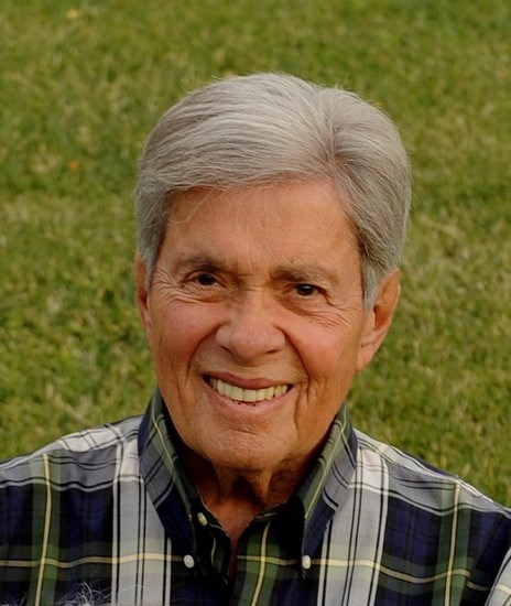 Robert Lubin Obituary - Springfield, IL