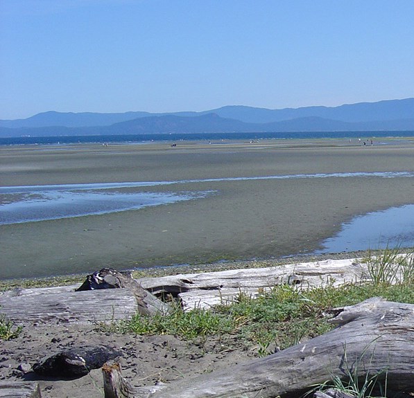 Donald BISSETT Obituary - Parksville, BC
