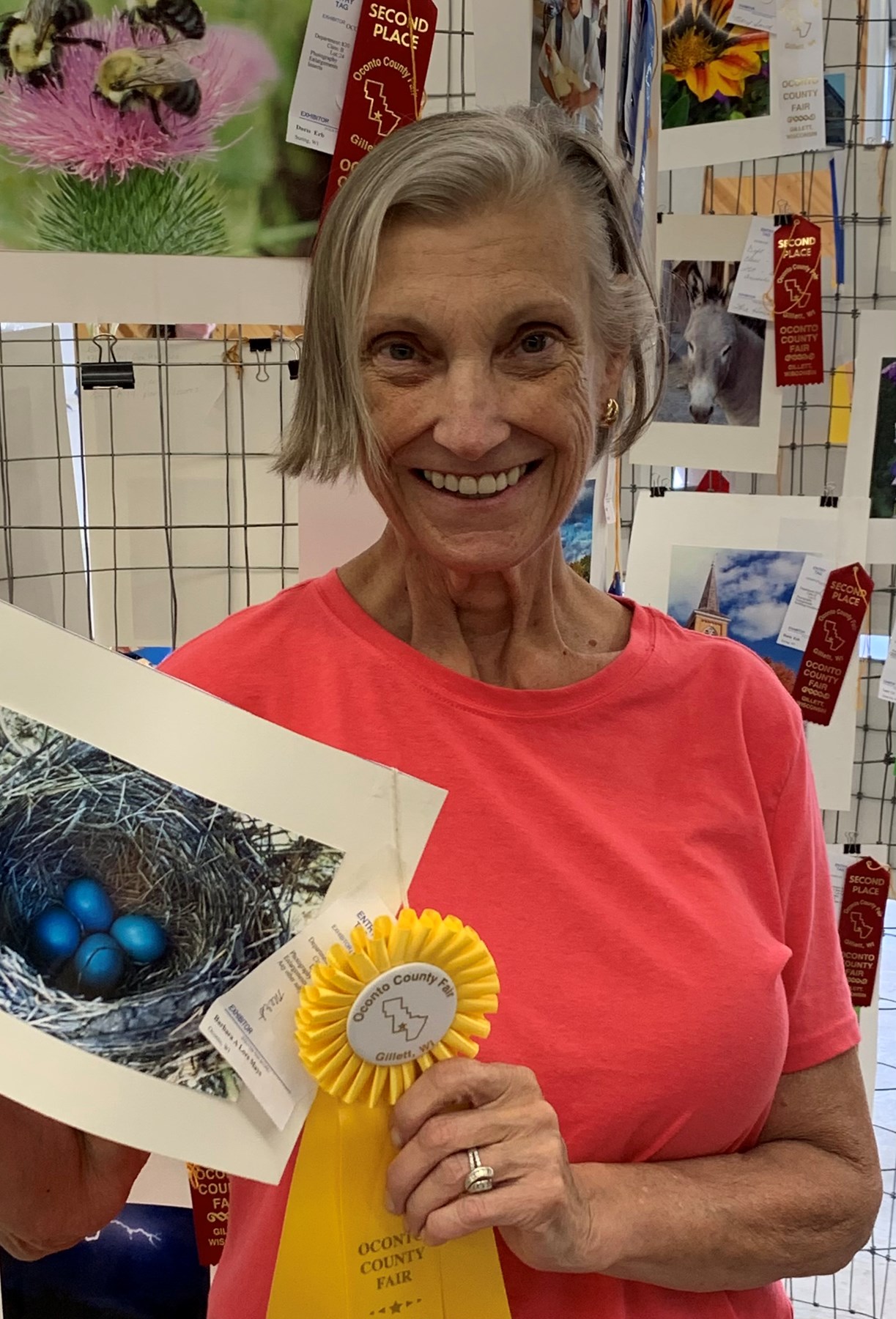 Barbara Lore Mayo Obituary - Wilmette, IL