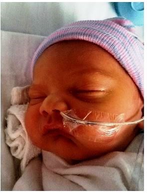 Noah Laurin Obituary - Kissimmee, FL