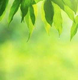 Terry Overstreet Obituary - Hughson, CA