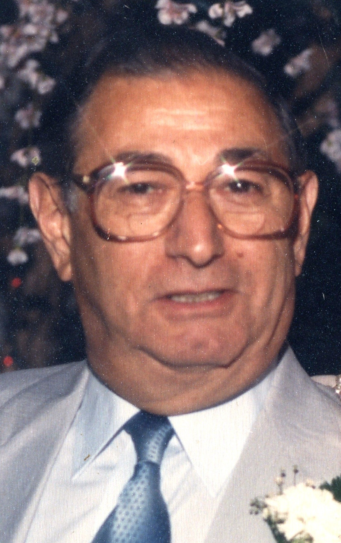 Lawrence D'Anna Obituary - Williamsville, NY