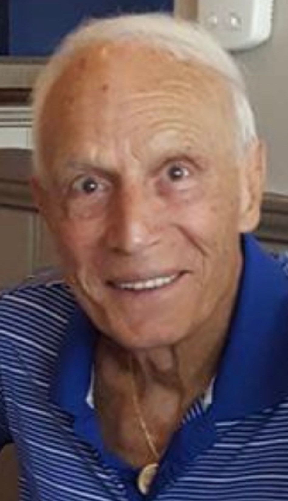 Robert Minlionica Obituary - Boca Raton, FL