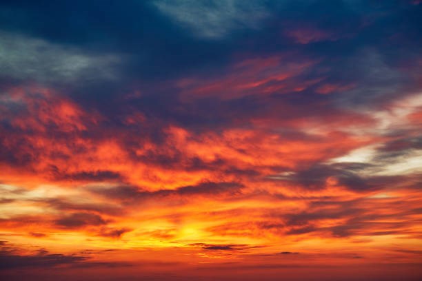 Jane Olson Obituary - Chicago, IL