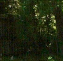 WILLIAM HANNIGAN Obituary - Jacksonville, FL WILLIAM HANNIGAN Obituary - Jacksonville, FL