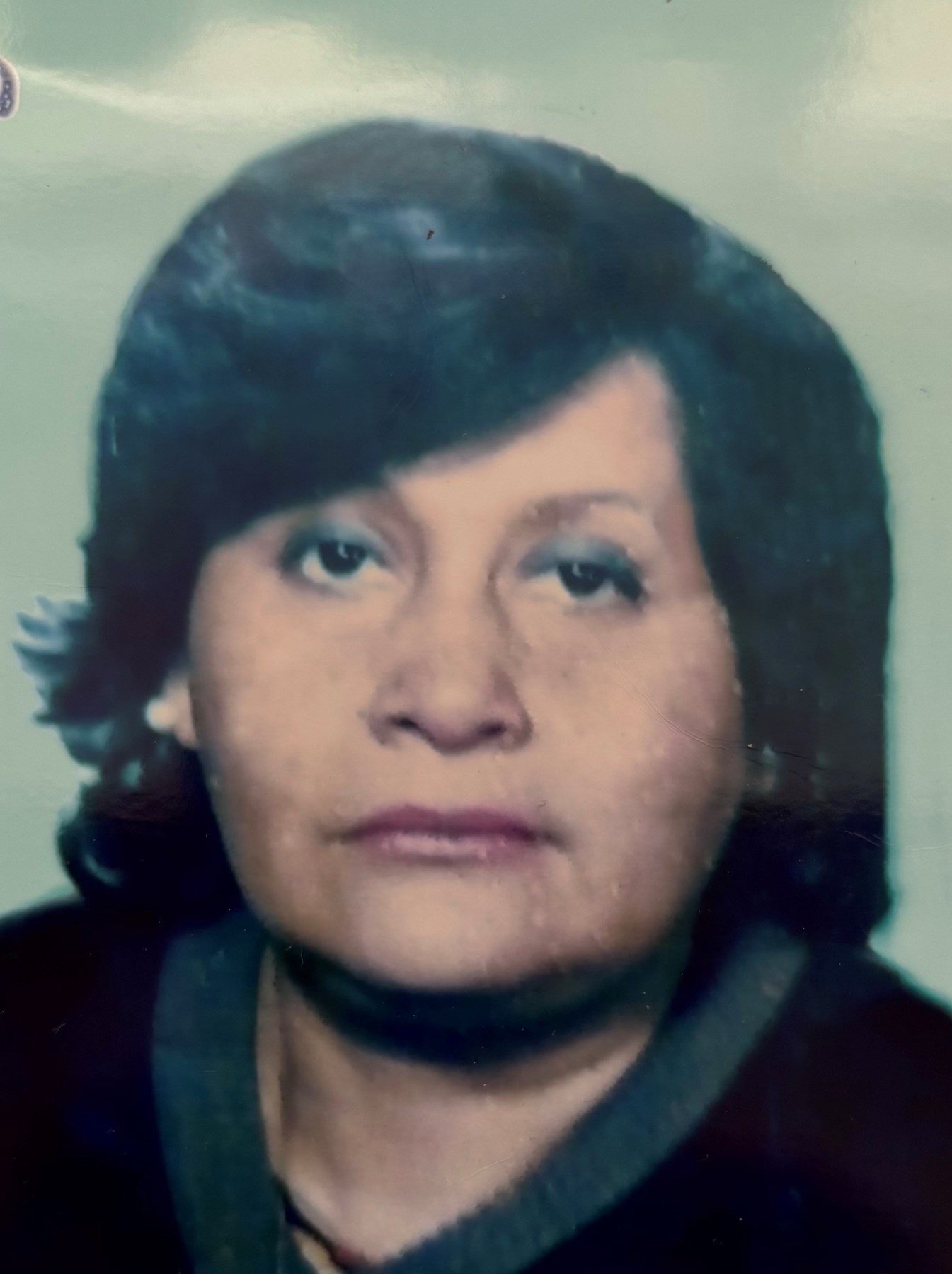 Maria Reyes Obituary - Spring Hill, FL