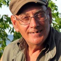 Philip Lewis Obituary - Toronto, ON