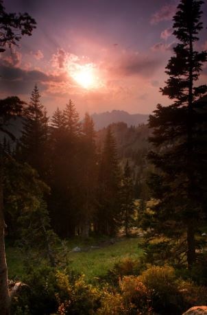 Myra Patricia Campbell Obituary - Phoenix, AZ