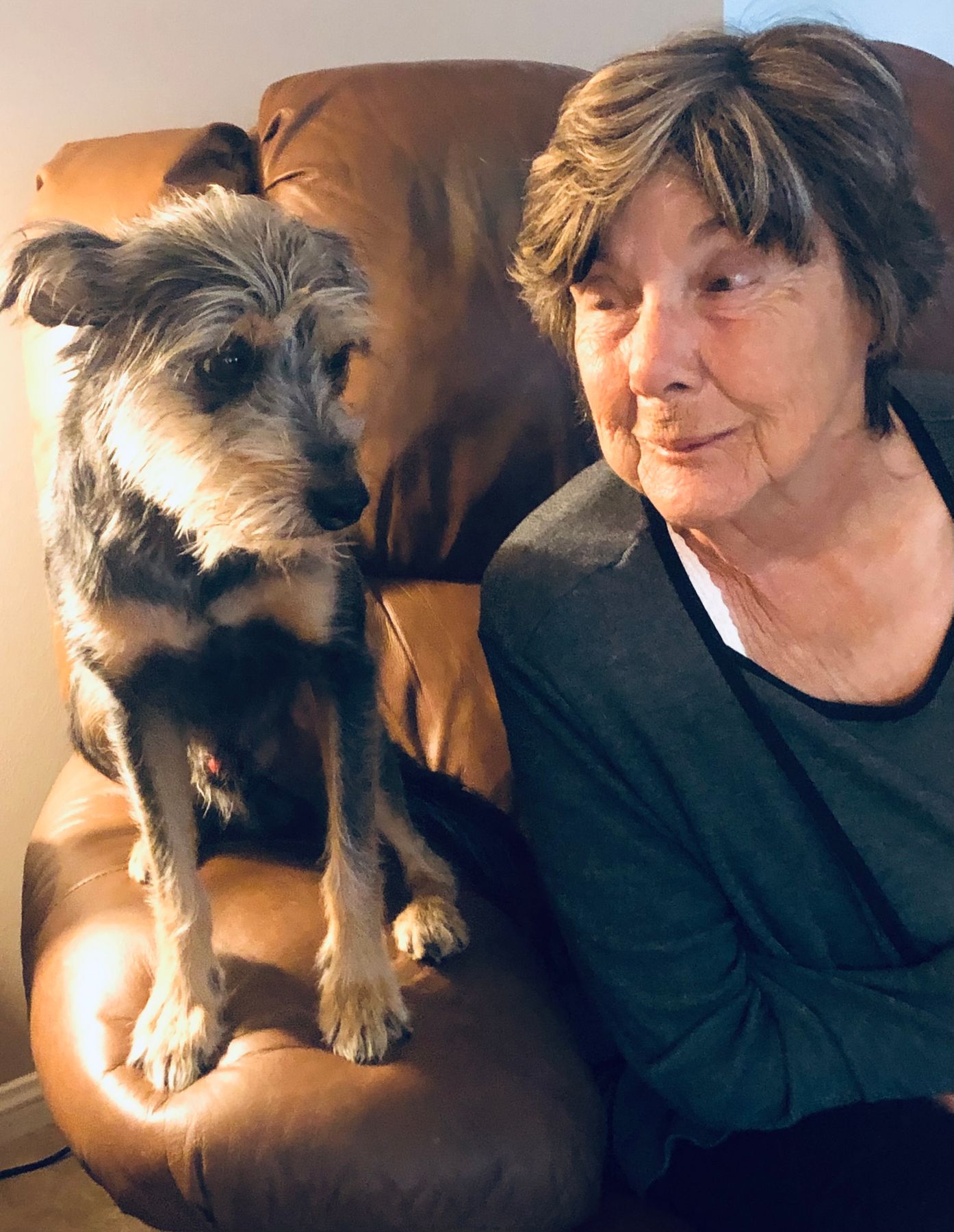 Brenda See Obituary - Houston, TX