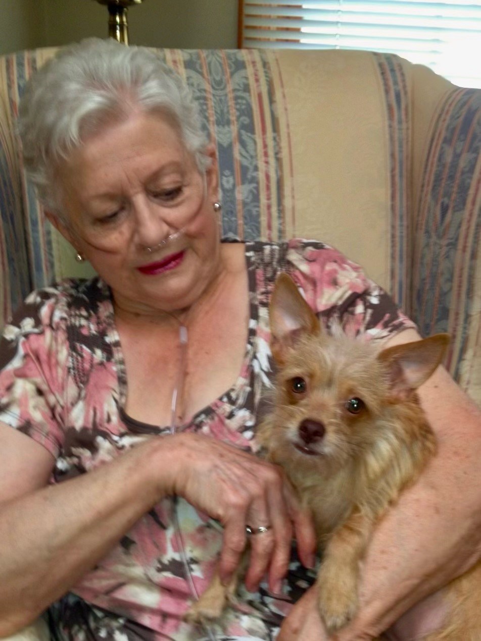 Ann "Nancy" Nicholas Obituary - Ft. Collins, CO