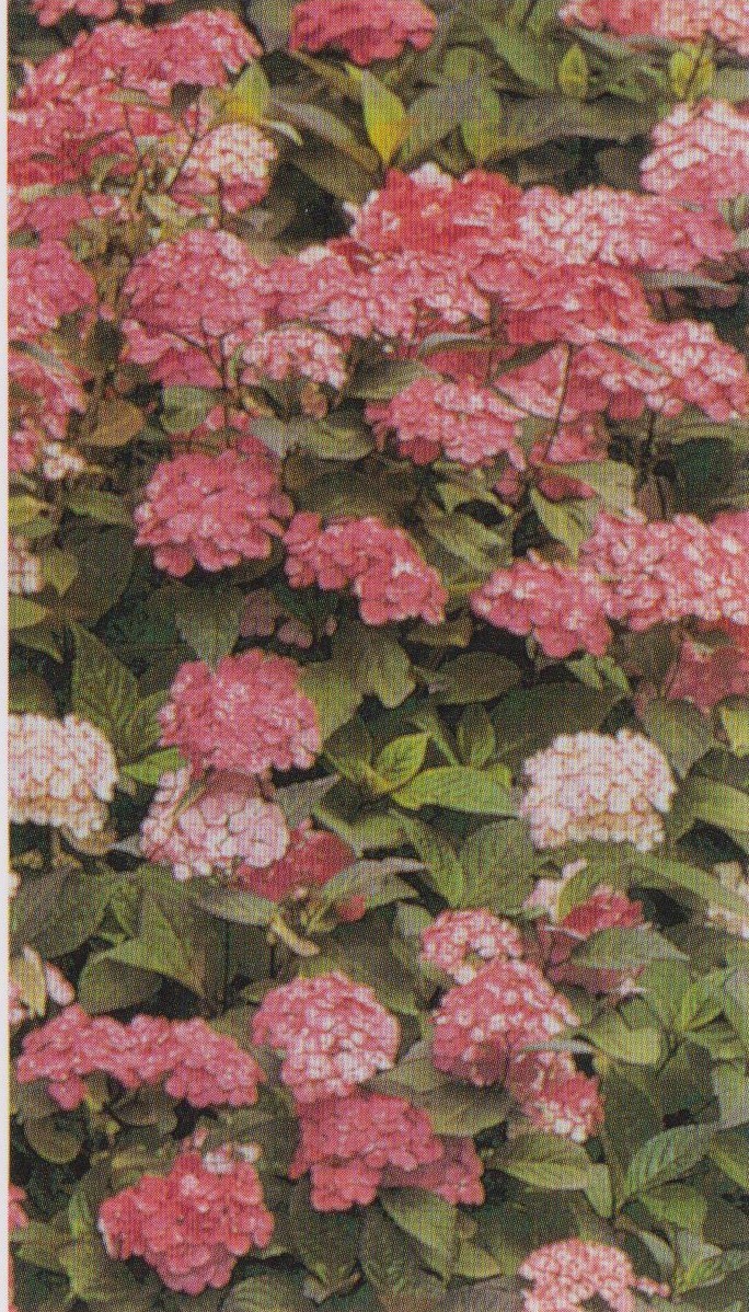 Michael Dempsey avis de décès - Nottingham, MD