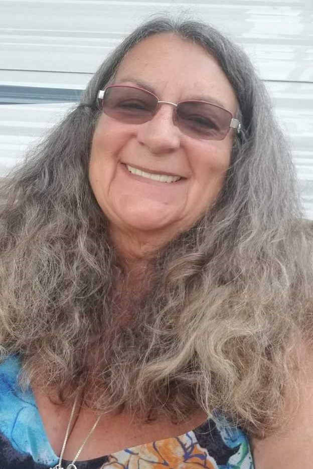 Sheila Lewis Obituary - Mason, MI