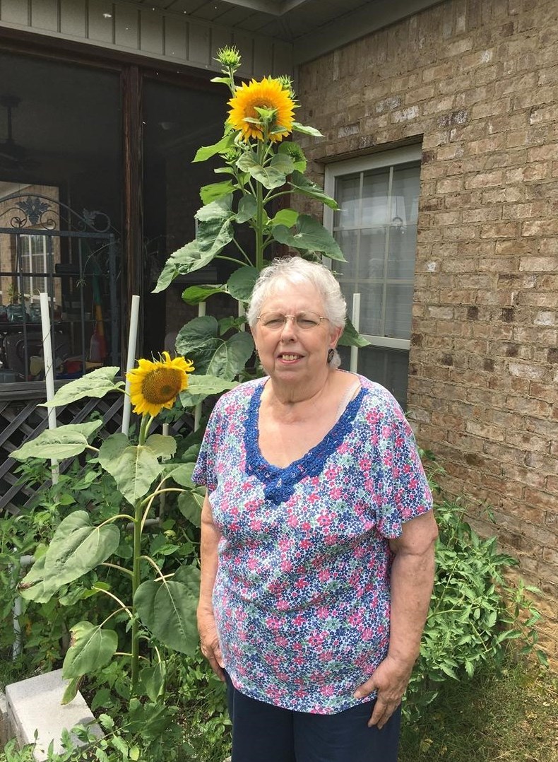 Francine Wilson Obituary - Leeds, AL