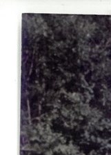 Elizabeth Wilson Obituary - Guelph, ON Elizabeth Wilson Obituary - Guelph, ON