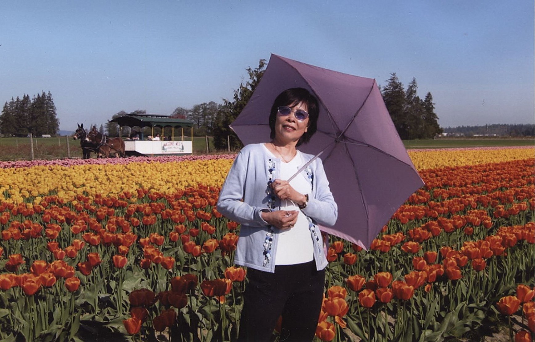 May Leung's Instagram, Twitter & Facebook on IDCrawl