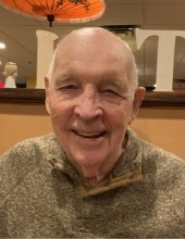 Robert Flaa Obituary - Arlington Heights, IL