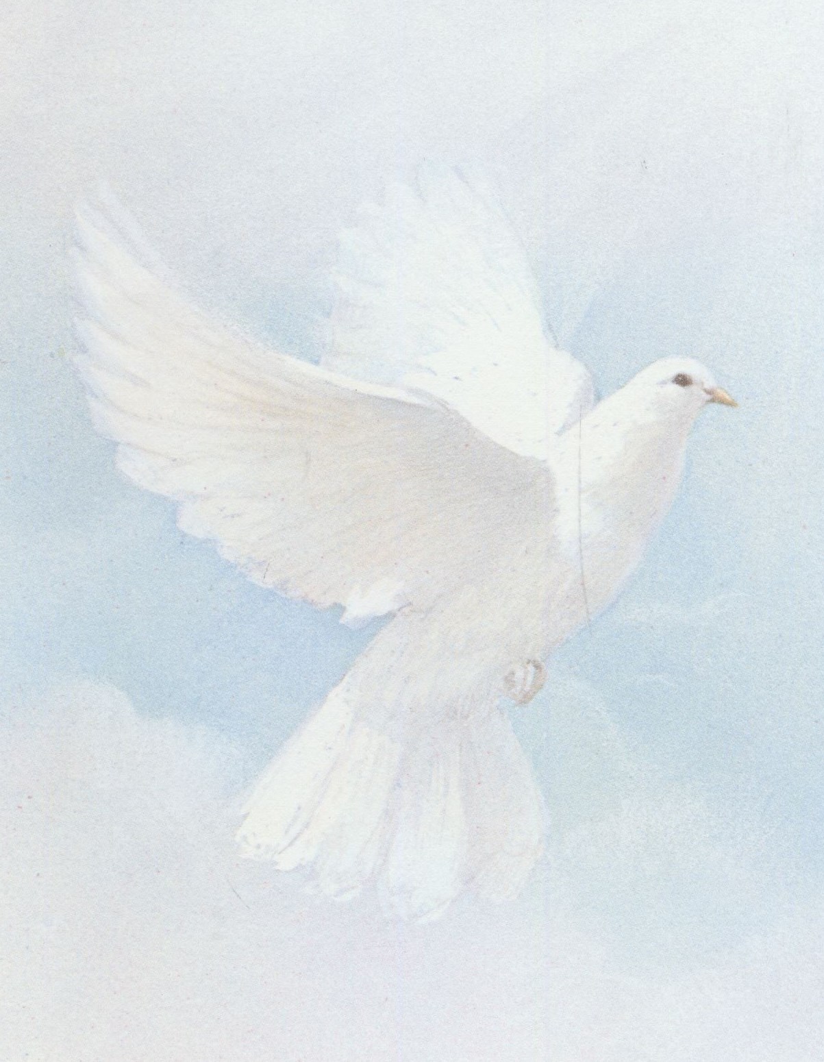 Phoenix Davis Obituary - Cartersville, GA