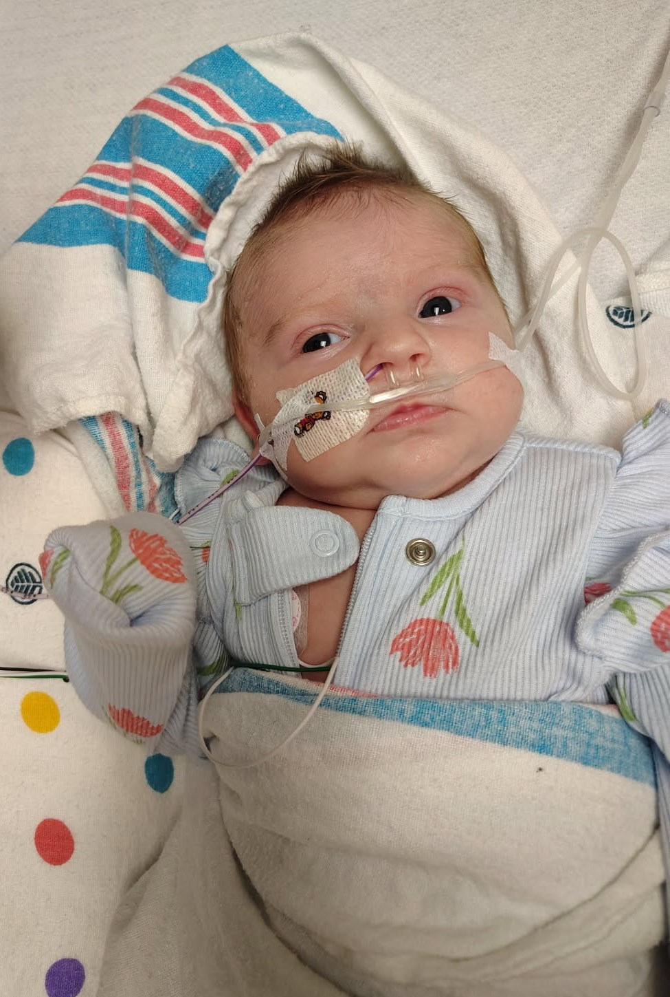 Kinsley Crowe Obituary - Lenoir, NC