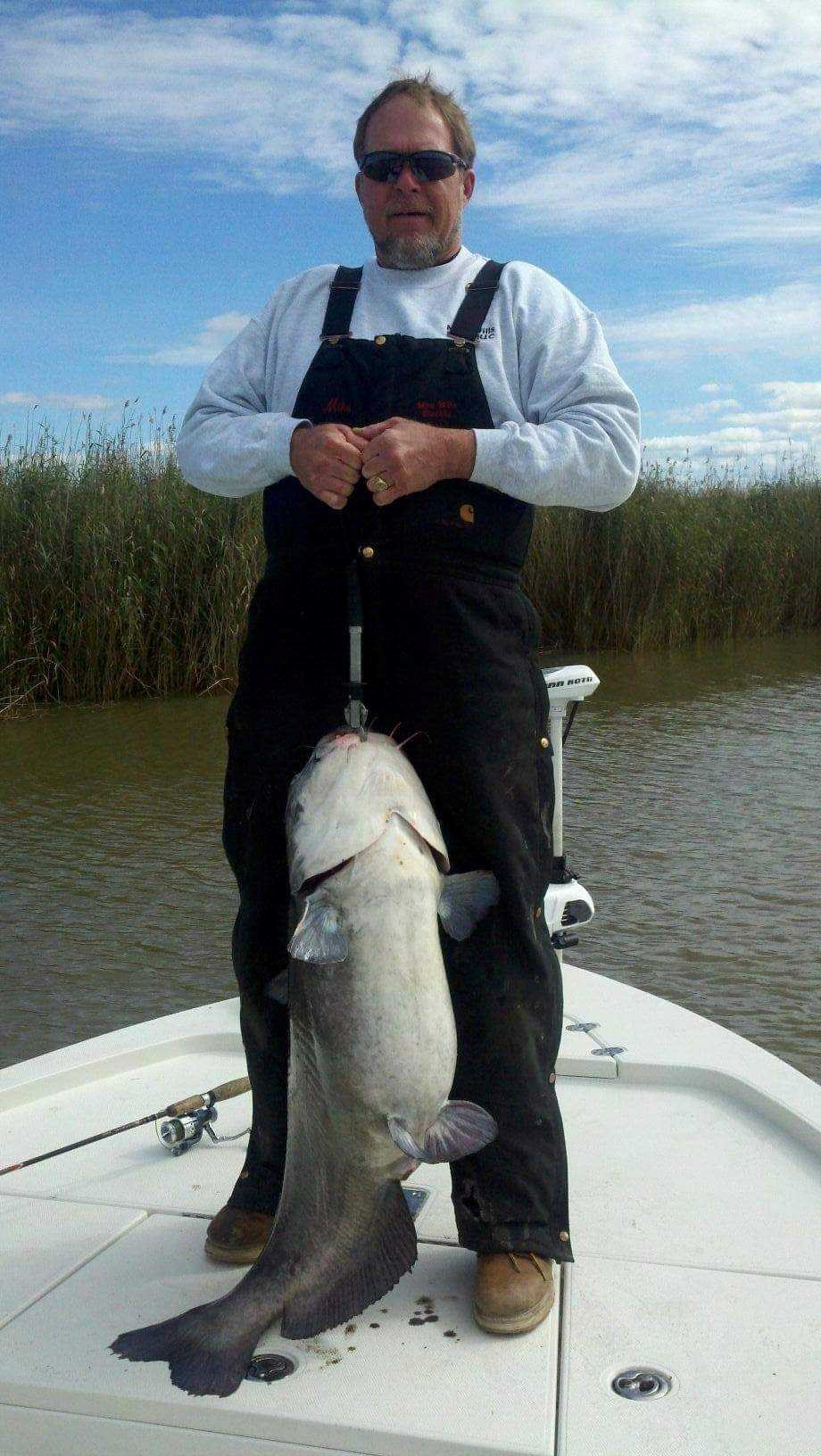 Michael Wills Obituary - Kokomo, IN