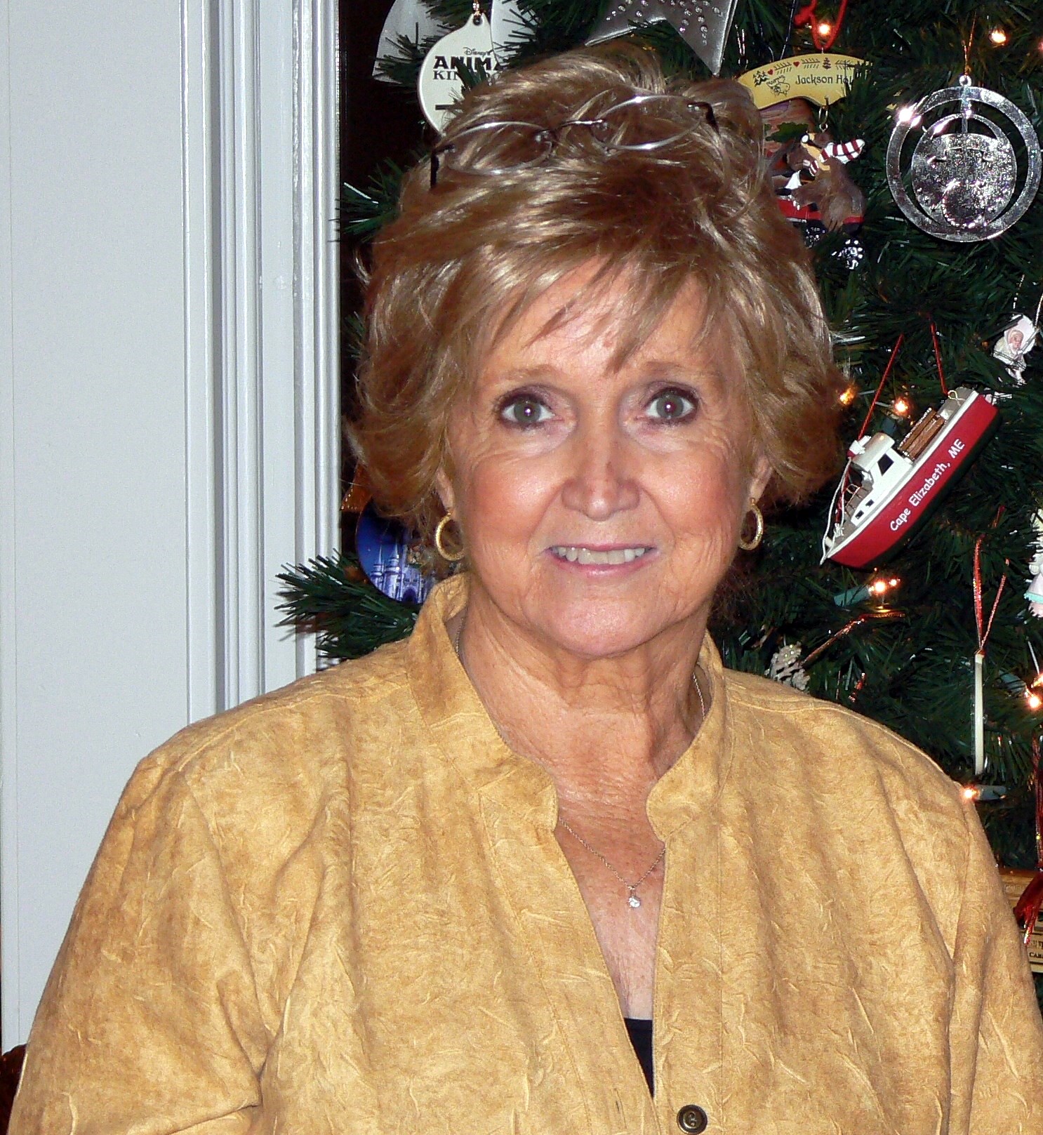 Joyce L Plumlee Obituary - Chattanooga, TN