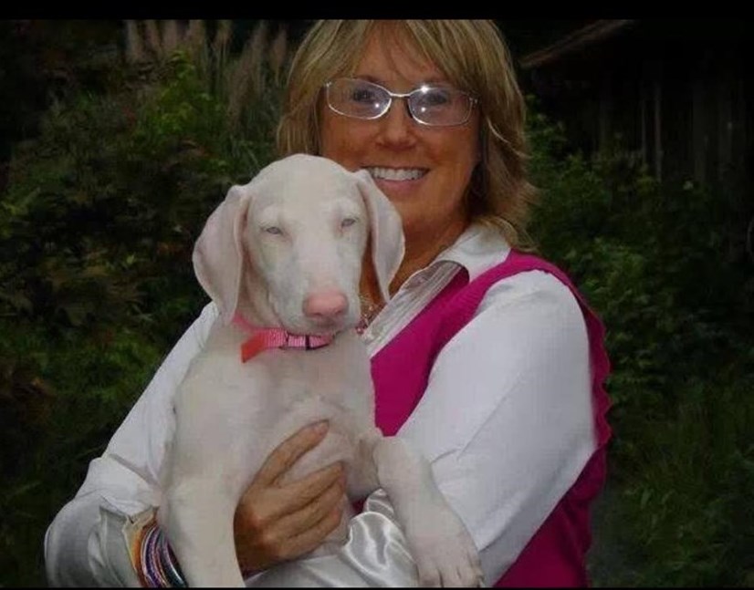 Cherelyn Blackburn Obituary - Greenville, SC