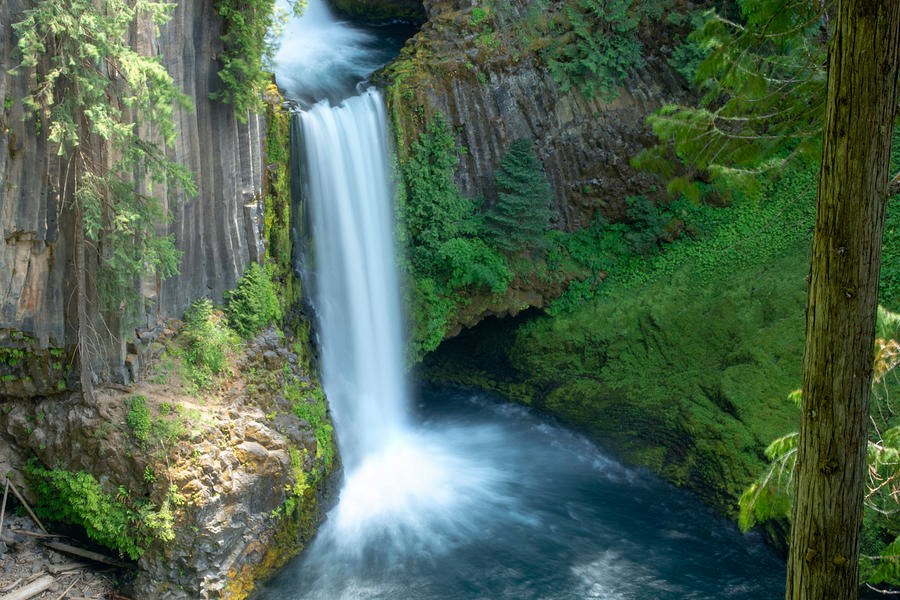 Dana Shepherd Obituary - Salem, OR