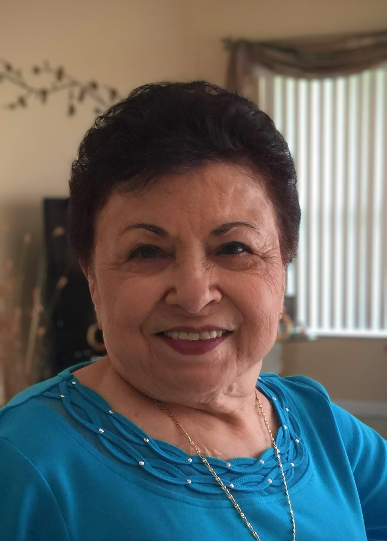 Maria De Rosa Obituary - SAINT JOHNS, FL