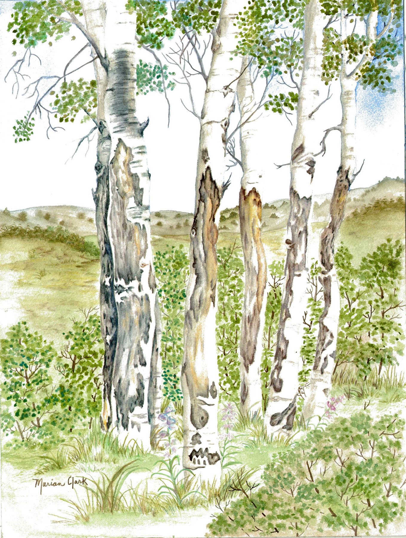 Richard Baughman Obituary - Colorado Springs, CO