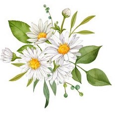 Kathleen Worden Obituary - Port Dickinson, NY