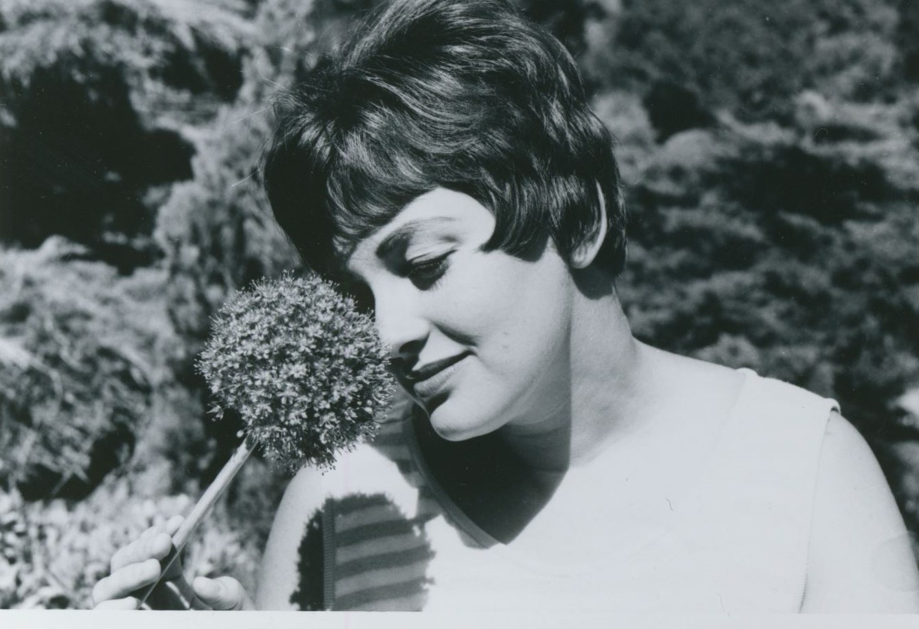 Sandra Fink's Instagram, Twitter & Facebook on IDCrawl