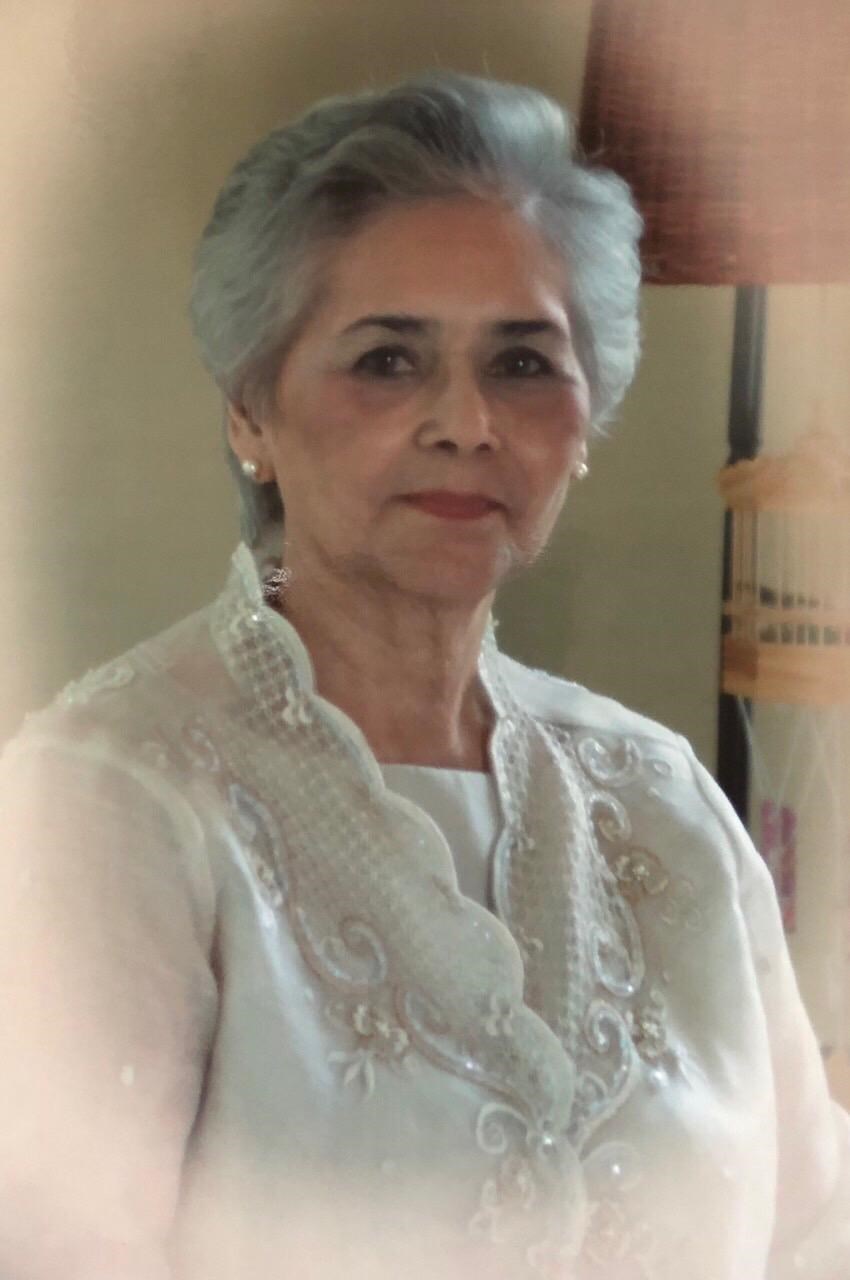 Virginia Castillo Obituary - Silver Spring, MD