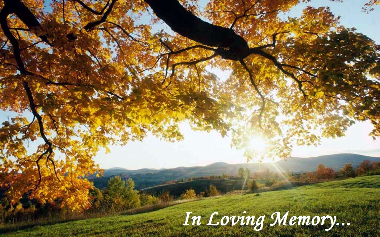 Jo Maxine Moore Obituary - Austin, TX