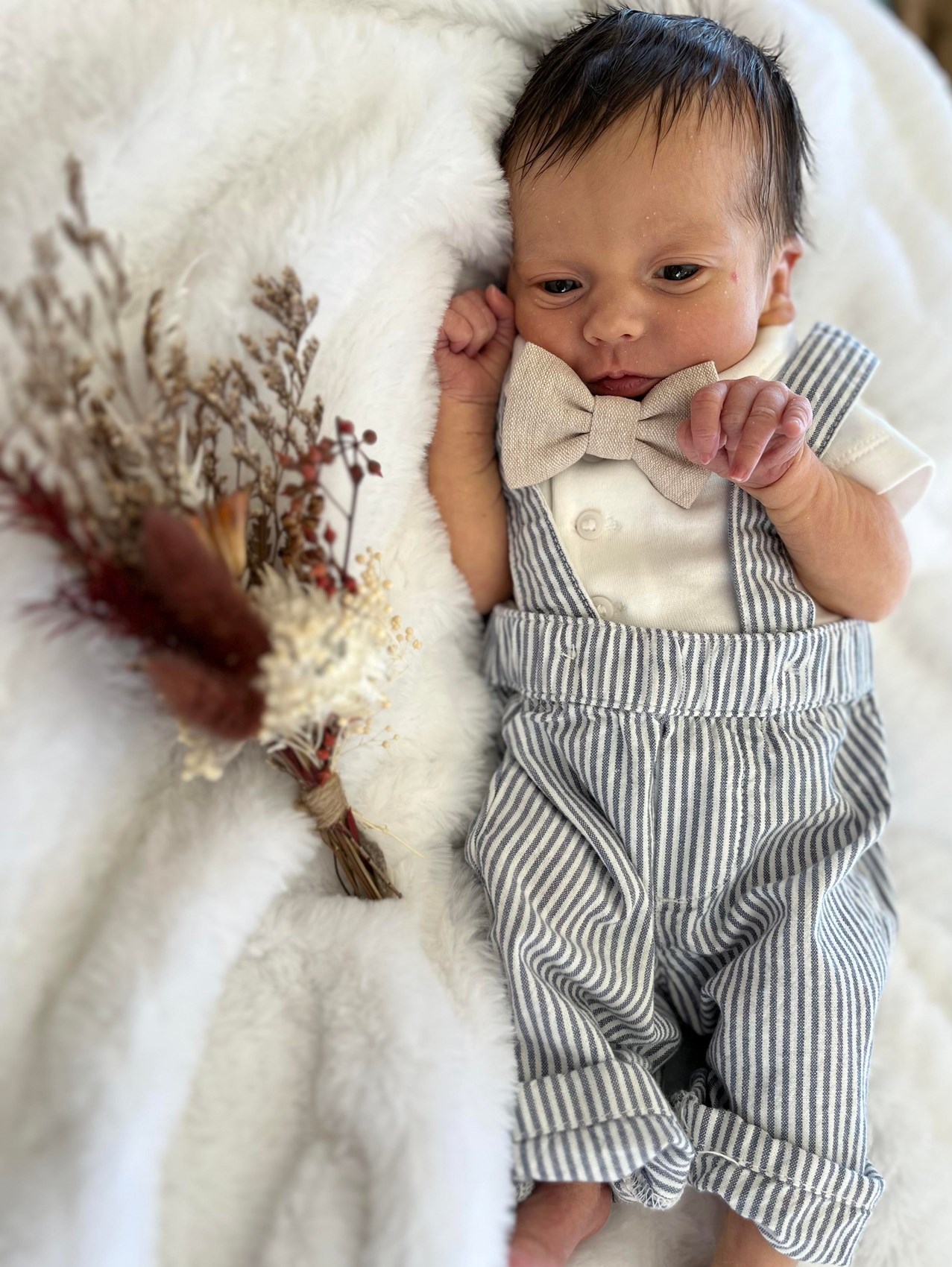 Thomas Morin Obituary - Alma, QC