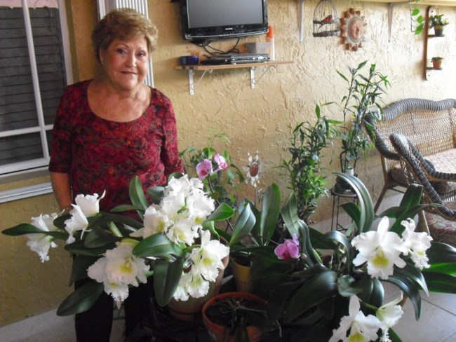 Bertha Collazo Obituary - Miami, FL