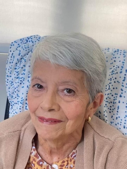 Daisy Santiago Ocasio Obituary - San Juan, PR