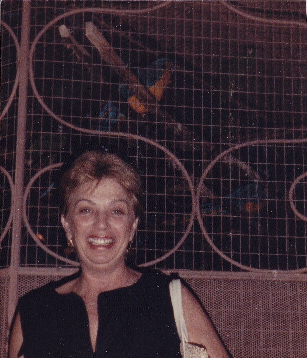 Mary Lou LoCurto Obituary